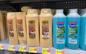 Unilever's Suave Brand Acquired by Yellow Wood Partners